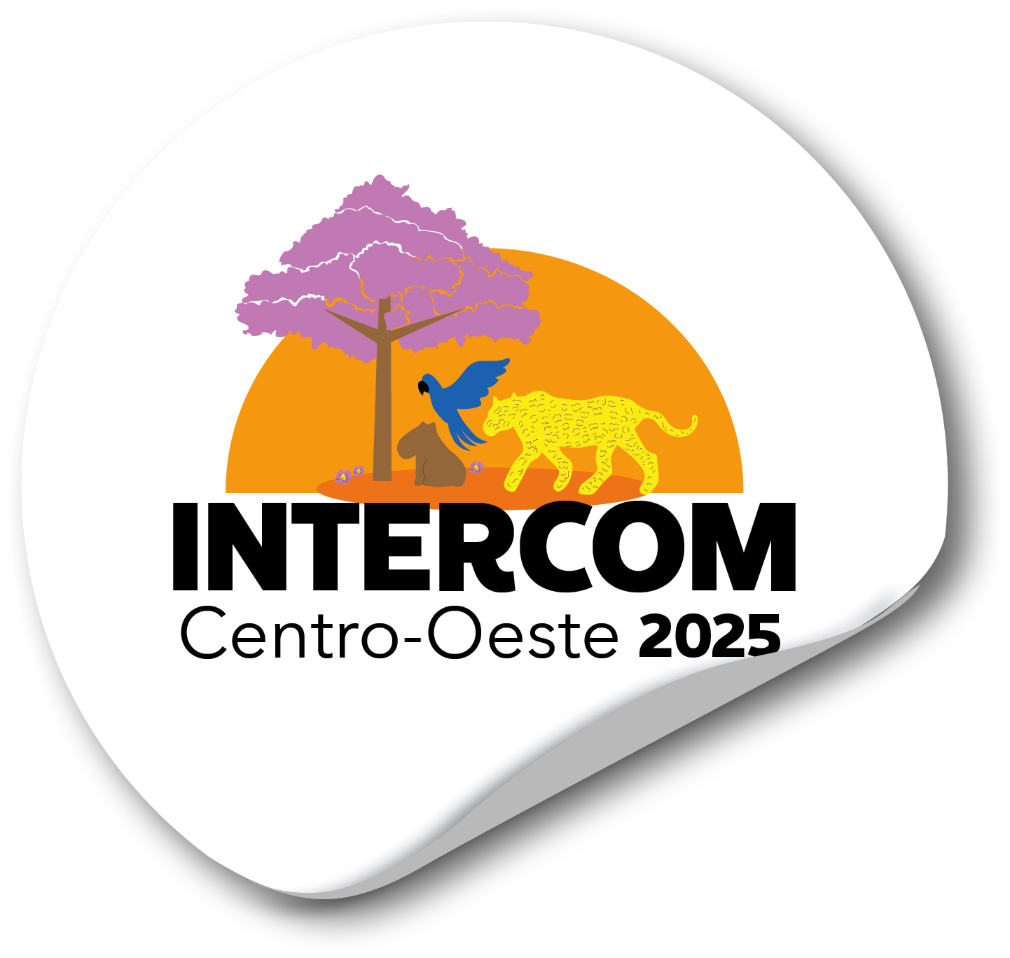 Intercom Centro-Oeste 2025